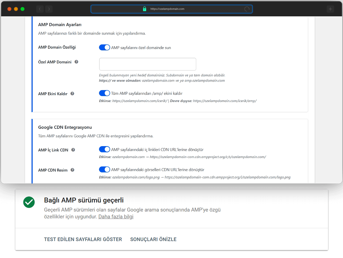 AMP CDN Pro - Subdomain AMP CDN WordPress Eklentisi ⚡